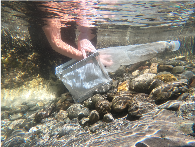 How climate change-induced early snowmelt may change the structure of ...