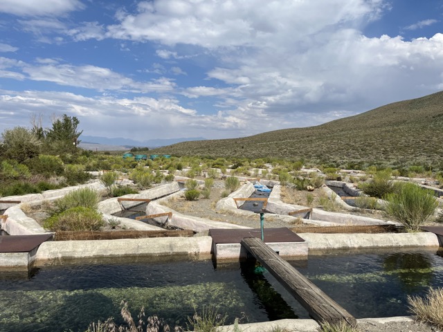 How climate change-induced early snowmelt may change the structure of ...