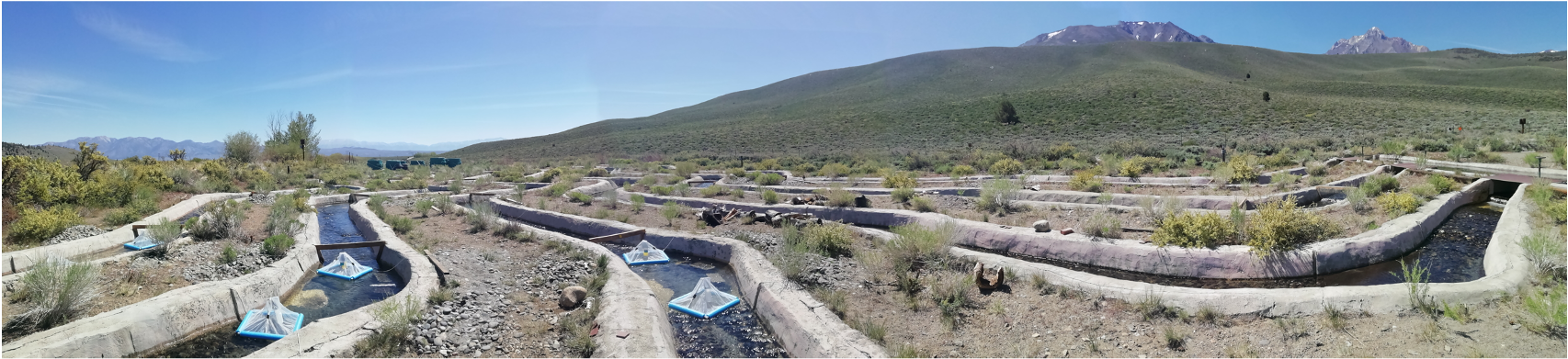 How climate change-induced early snowmelt may change the structure of ...