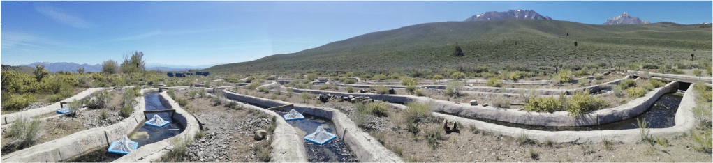 How climate change-induced early snowmelt may change the structure of ...